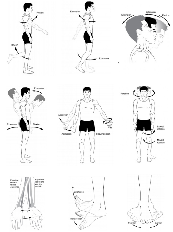 3. BEWEGINGEN | FIT Premium